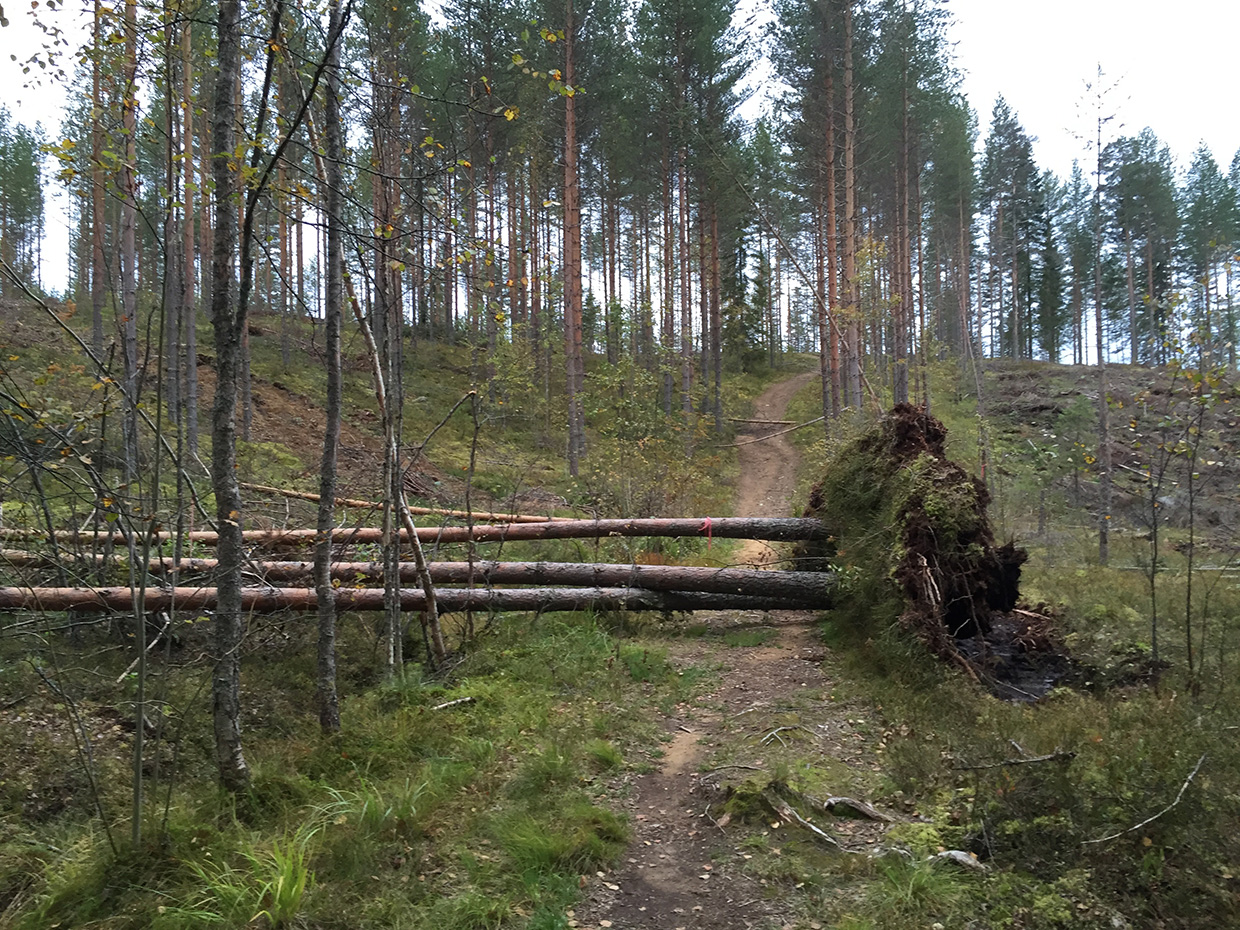 Onko tuulisuus lisääntynyt? – Katso missä on tuullut eniten viime ...